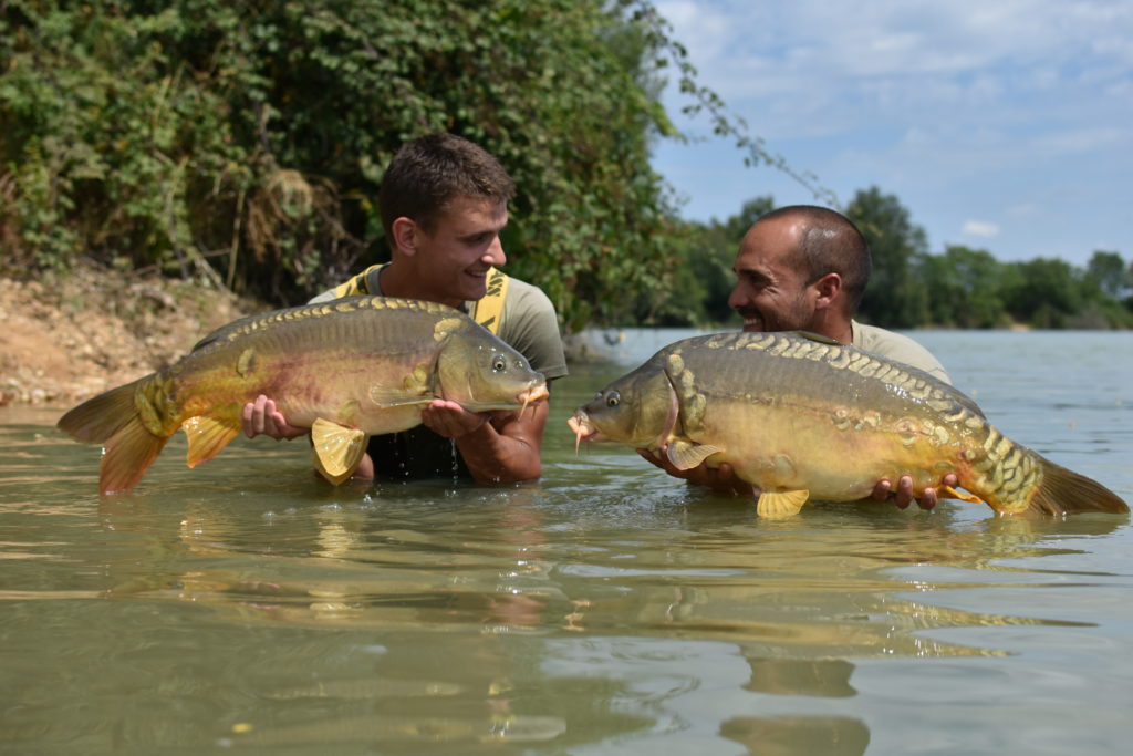 Approches et stratégies - Carpe en juillet, les vacances au bord de l'eau